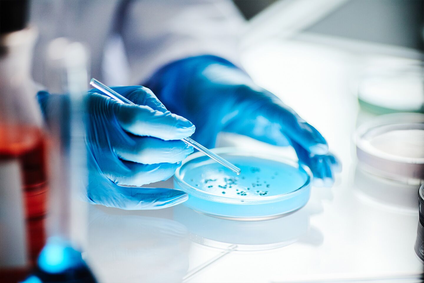 Germs 101: What They Are and How to Stop the Spread