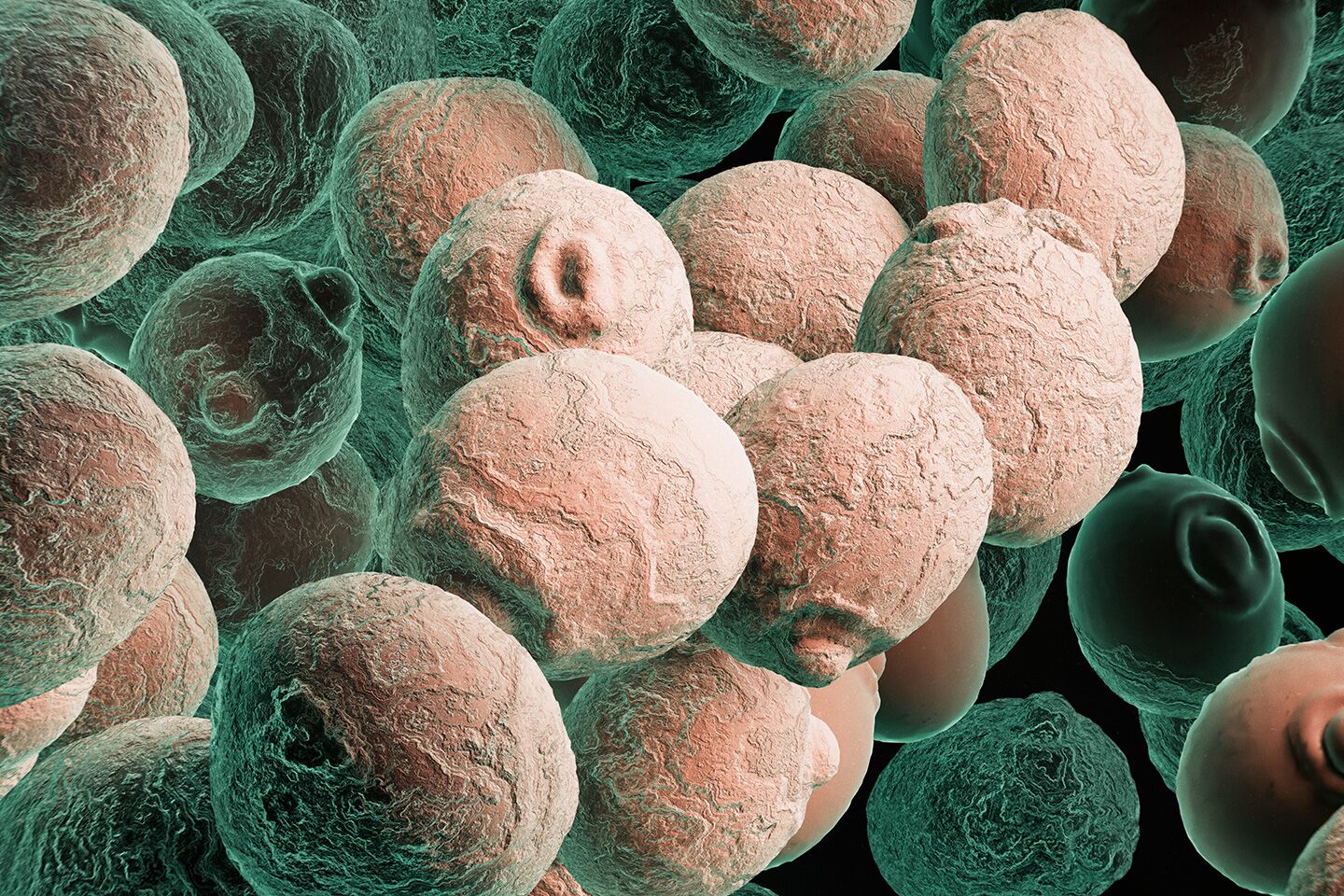 Germs 101: What They Are and How to Stop the Spread