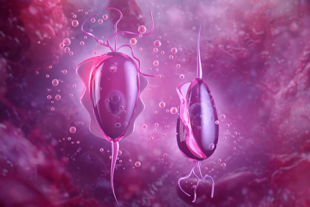 Germs 101: What They Are and How to Stop the Spread