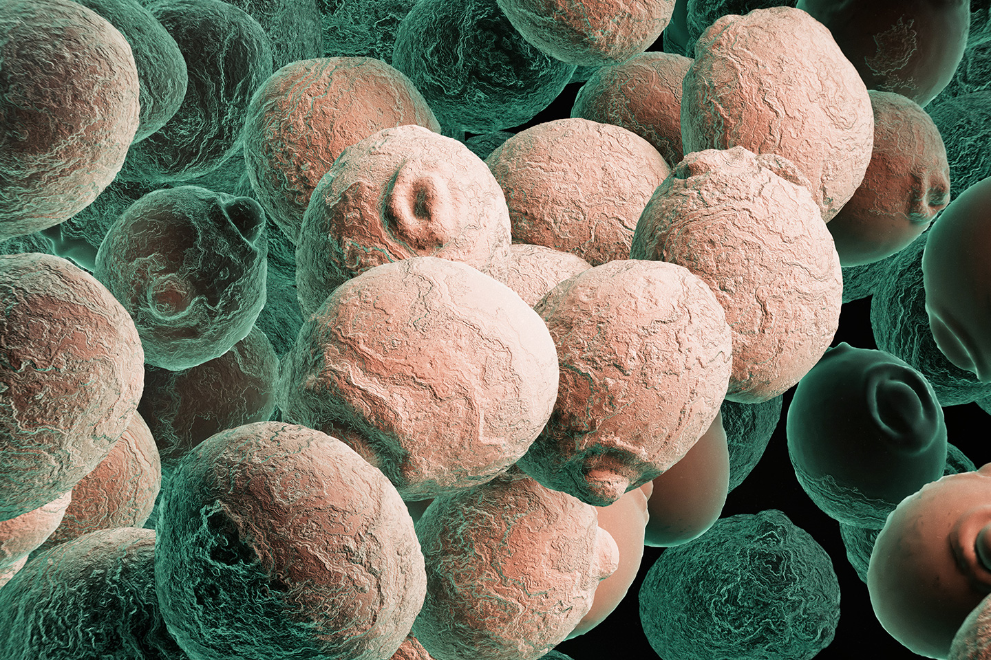 Germs 101: What They Are and How to Stop the Spread