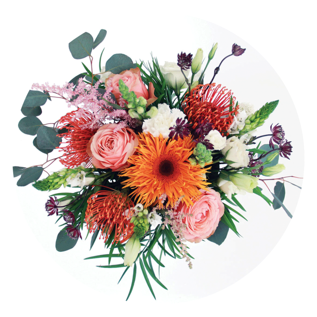 Understanding Blindness - HealthScope® Magazine