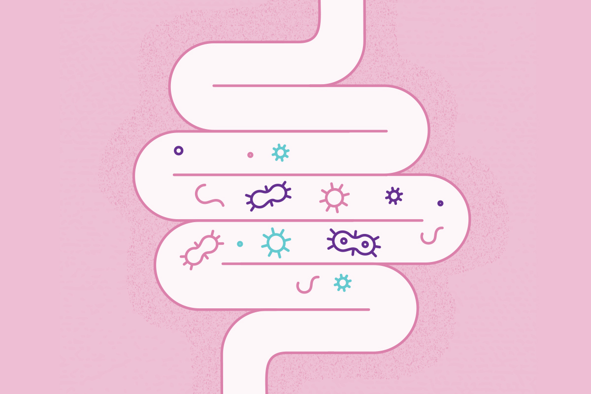 Listen to Your Gut: The Importance of Gastrointestinal Health ...